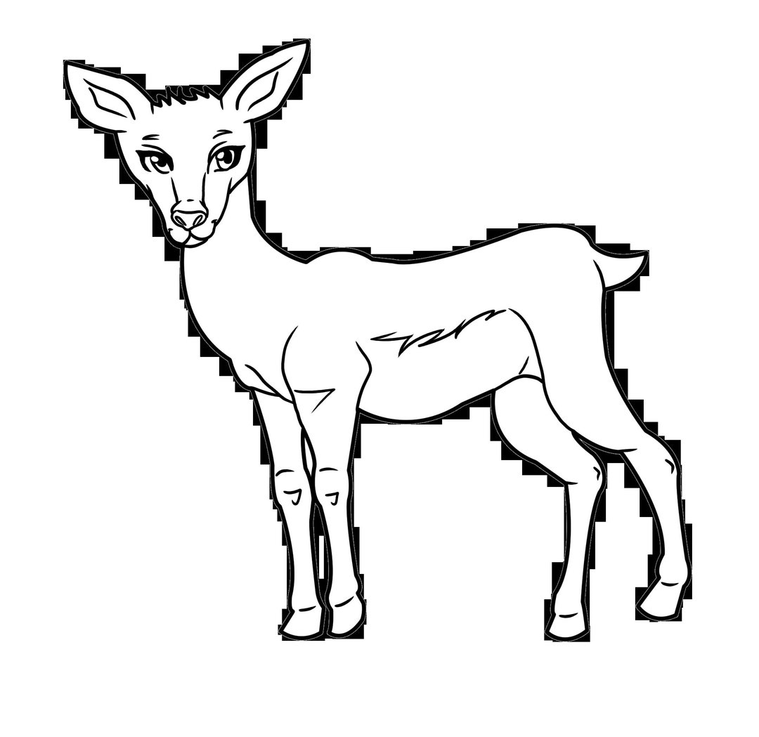 African Antelope Adult Color and Draw Set - Etsy