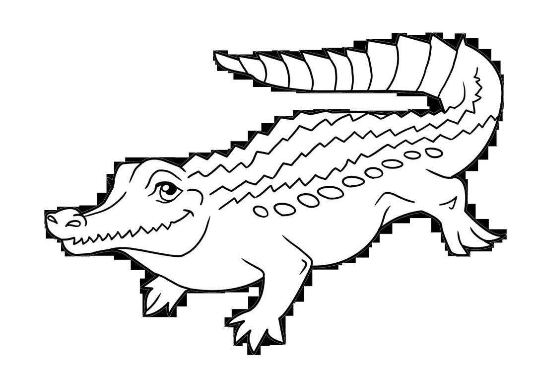 African Crocodile Adult Color and Draw Set - Etsy