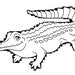 African Crocodile Adult Color and Draw Set - Etsy