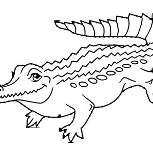 African Crocodile Adult Color and Draw Set - Etsy