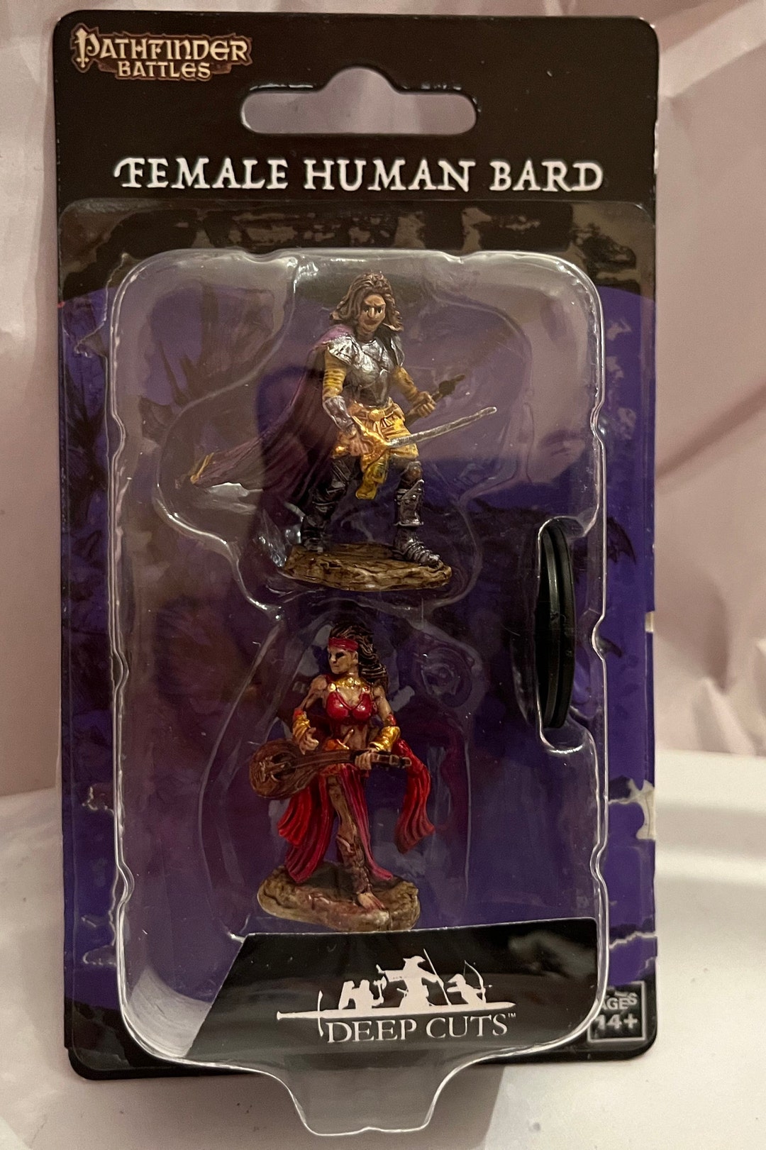 Female Human Bard D&D Miniatures - Etsy