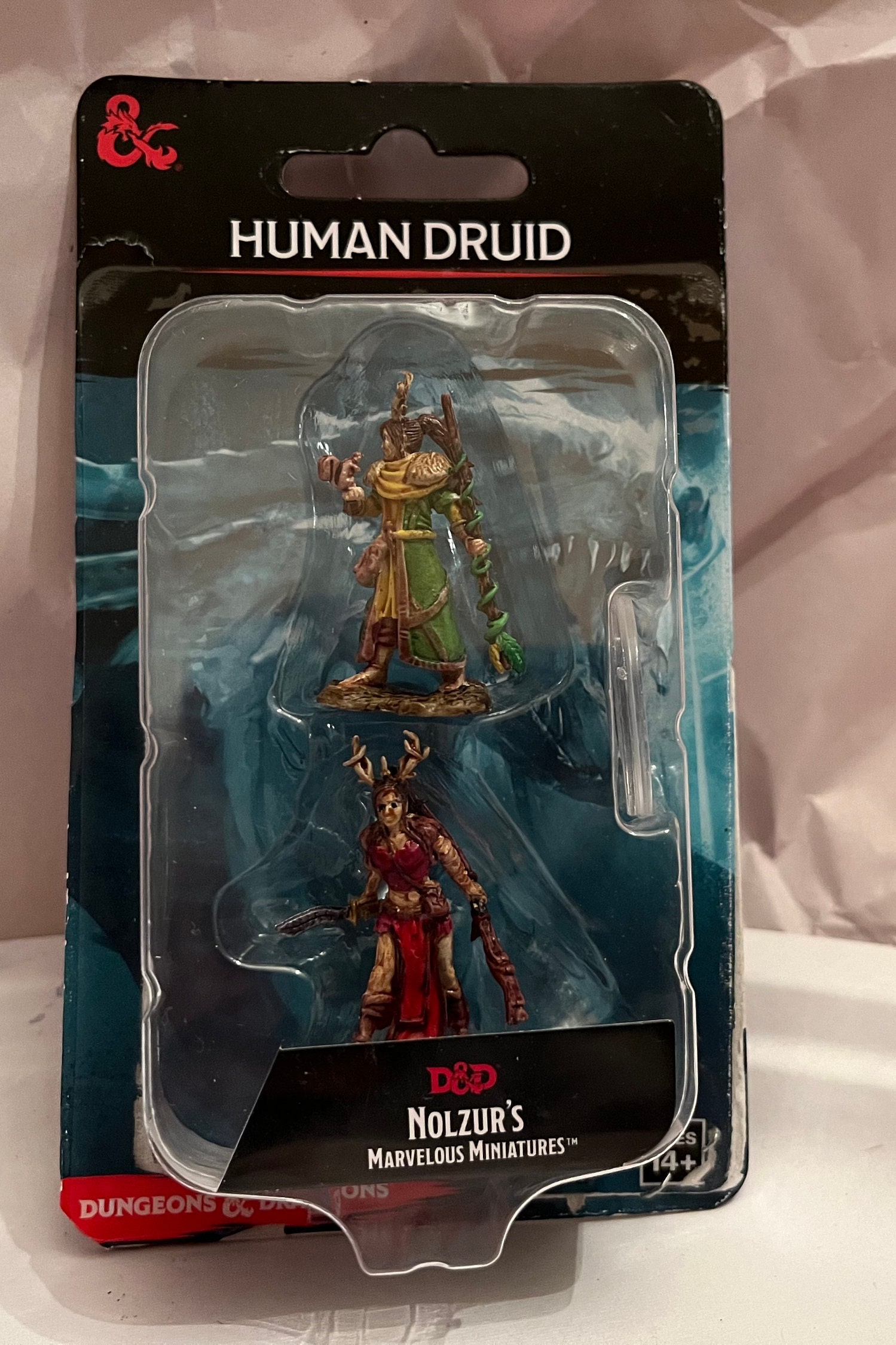 Female Human Druid D&D Miniatures - Etsy
