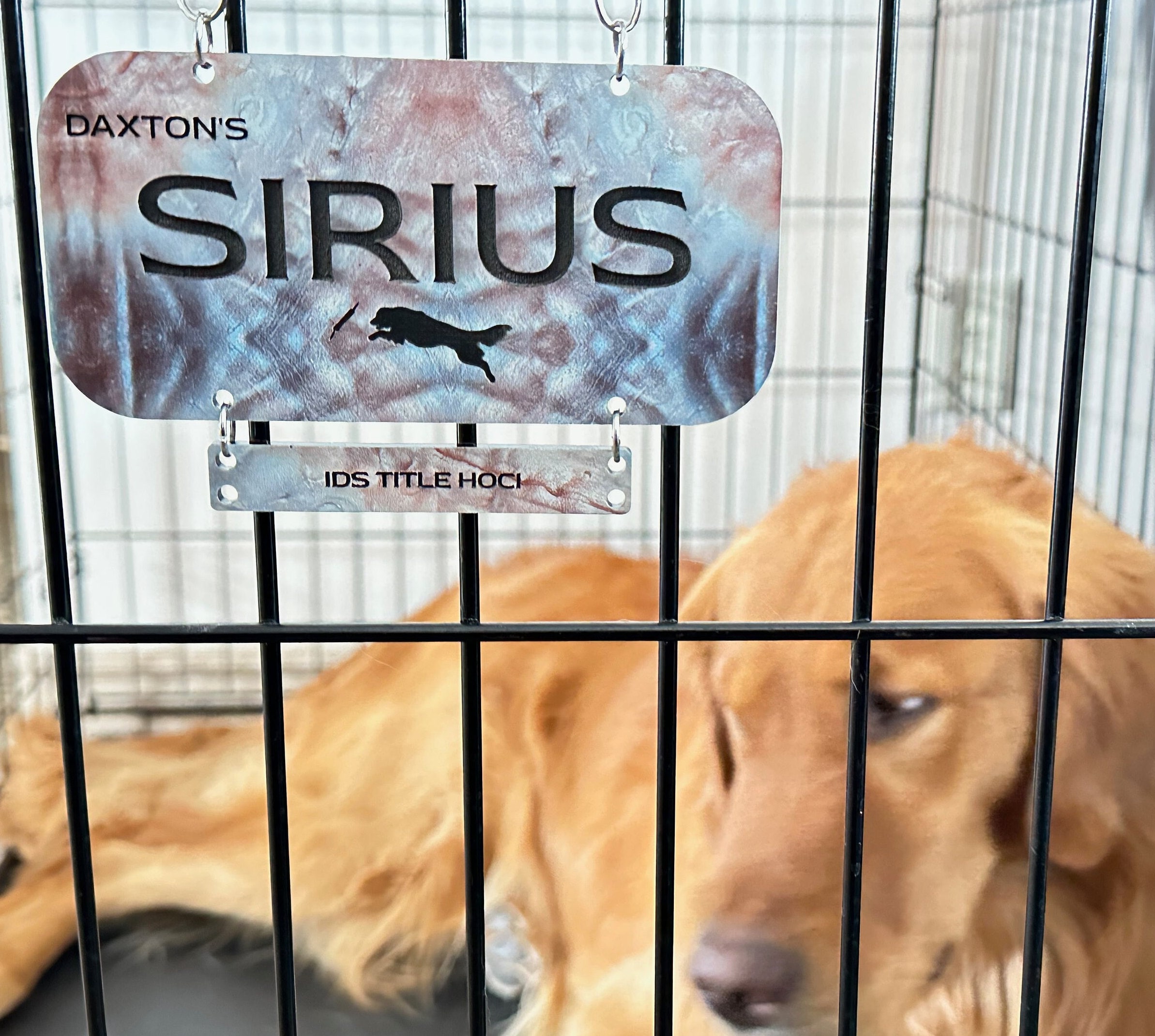 Custom Crate Tag | Dock Diving Crate Tag | Barnhunt Crate Tag | Custom ...