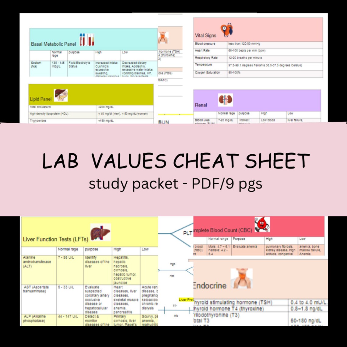Nurse Student/nursing School/nclex Study Guide EKG Interpretation/ Acls ...