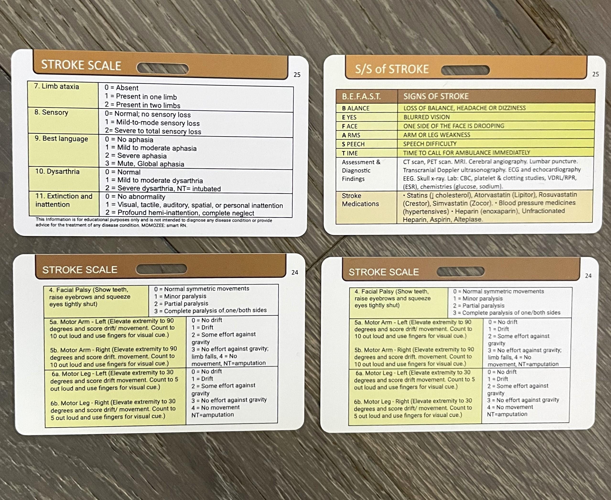 NIHSS Stroke Scale Badge Cards: Nurse Pocket Reference - Etsy