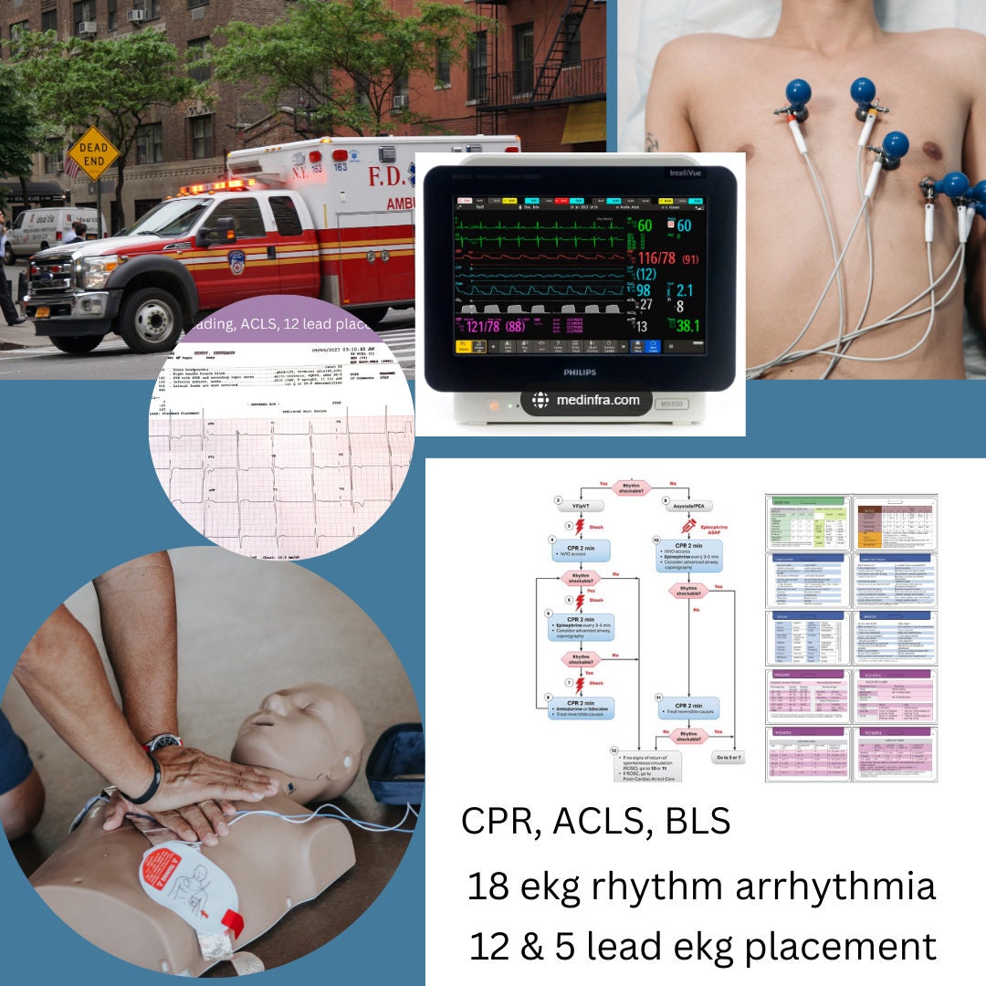 Emt/paramedics/ems/nurse Badge Card 10 Pcs 18 Ekg Rhythm, Acls, Bls ...