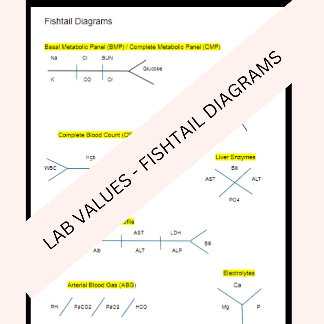 Complete Lab Values Cheat Sheet for Nursing Students, Clinicals, NCLEX ...