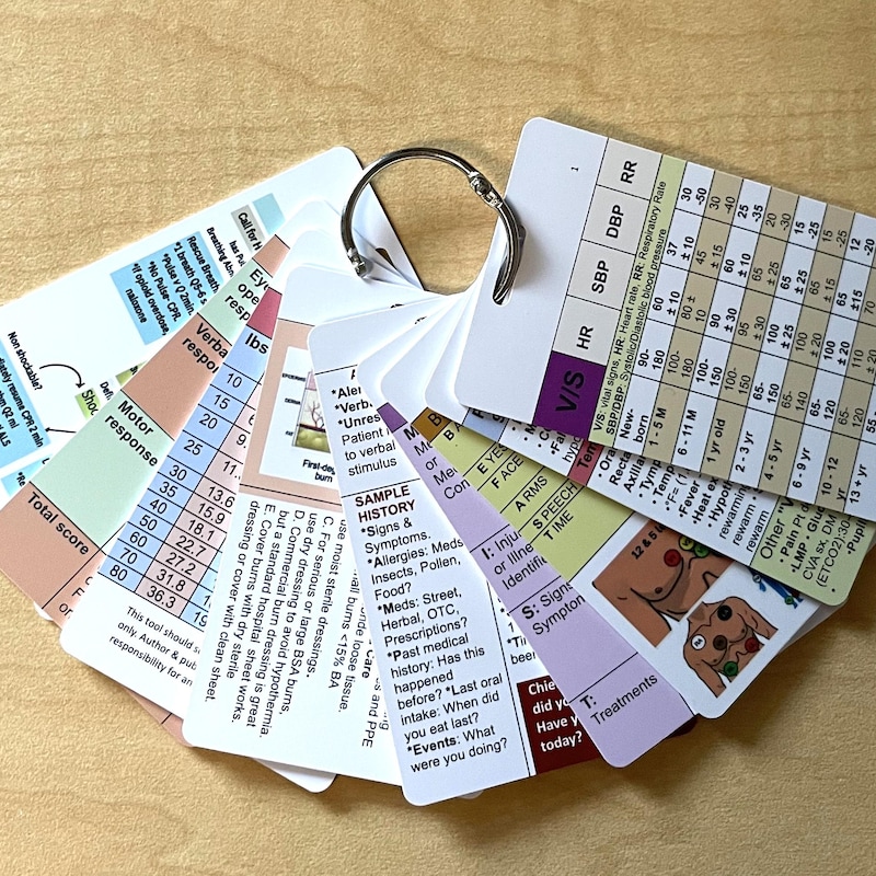 Id Badge Reference Cards - Etsy