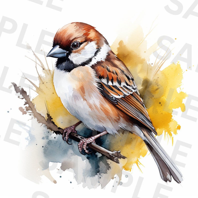 5 Sparrow Clipart, Sparrow Bird, Printable Watercolor Clipart, High ...