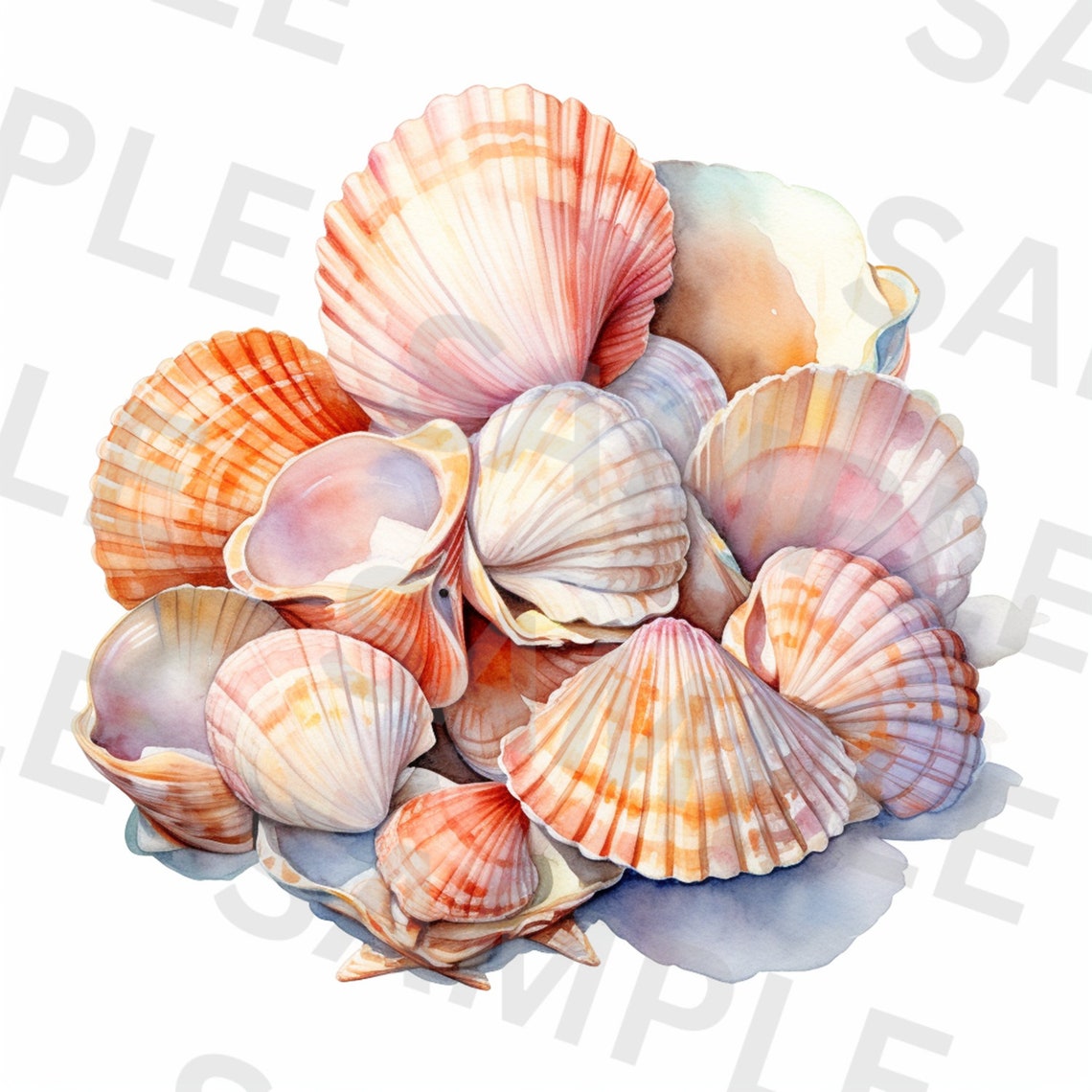 5 Beautiful Sea Shells Clipart, Seashell Clipart, Printable Watercolor ...