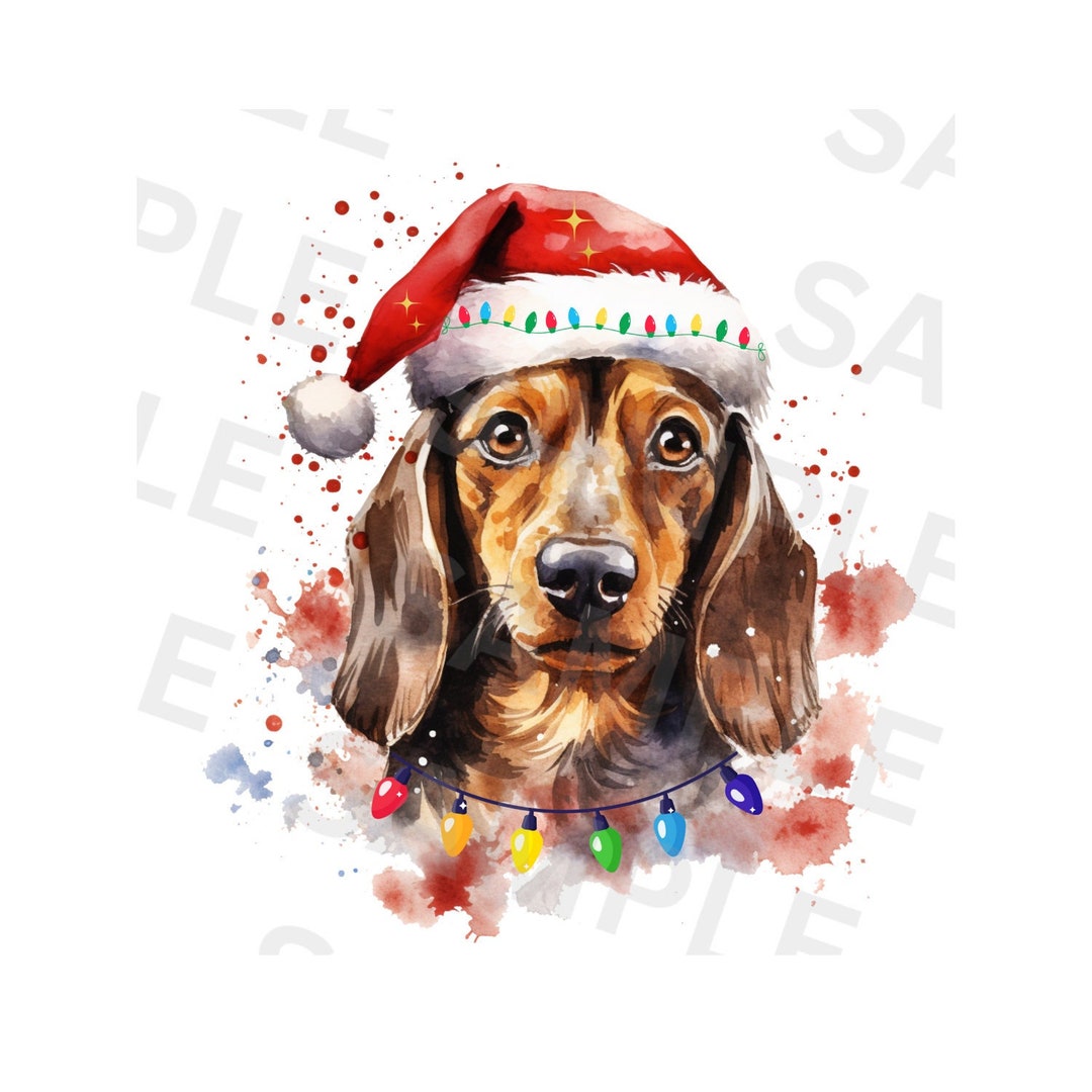 Christmas Dachshund Dog PNG, Wiener Dog Christmas Clipart PNG ...