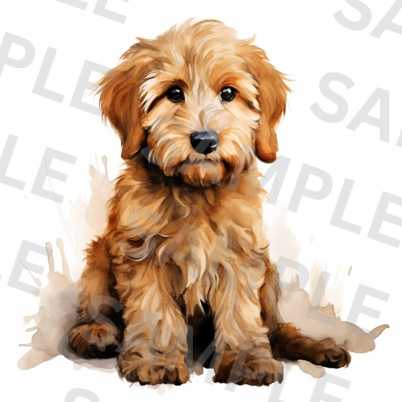 5 Goldendoodle Clipart, Groodle Printable Watercolor Dog Clipart, High ...