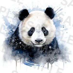 5 Panda Bear Clipart Set, Bear Face Clipart PNG, Panda Bear PNG ...