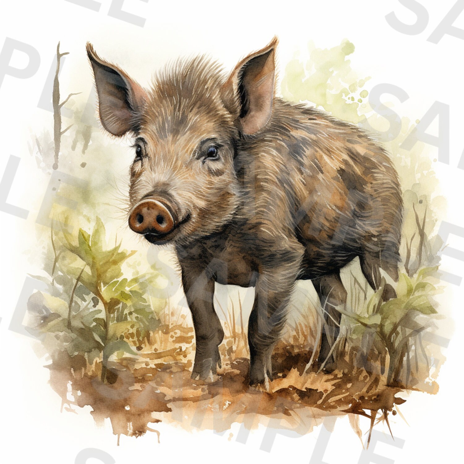 5 Wild Boar in Forest Clipart, Printable Watercolor Clipart, 5 High ...