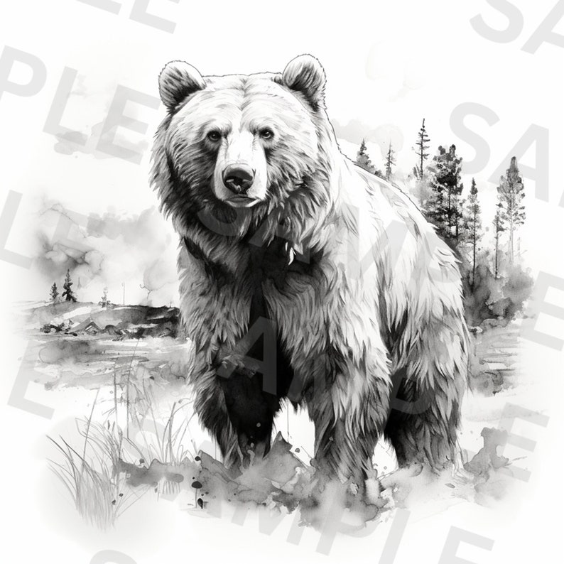 Bear Black White Clipart, Line Art Clipart, Printable Watercolor ...