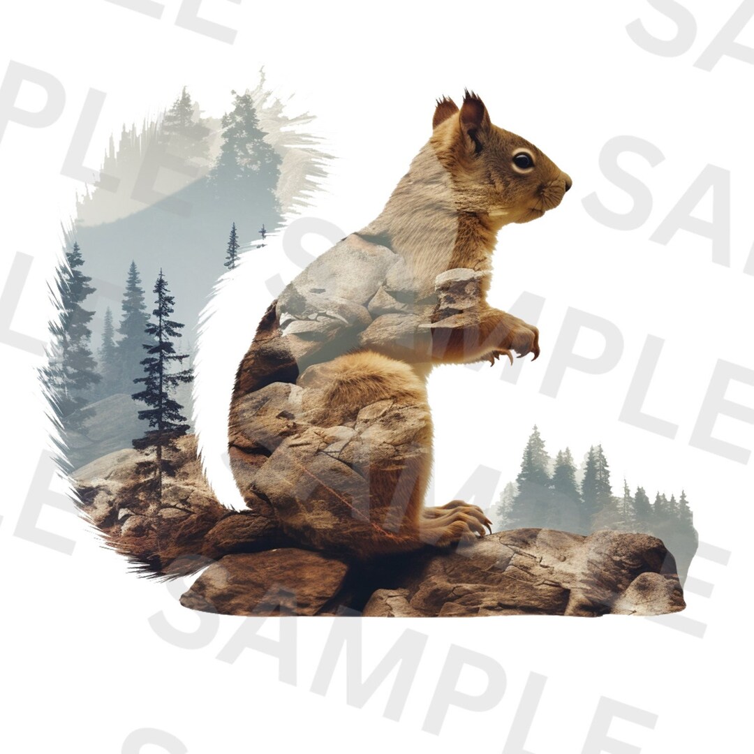 Squirrel Silhouette Clipart, Squirrel PNG Sublimation Design, Printable ...