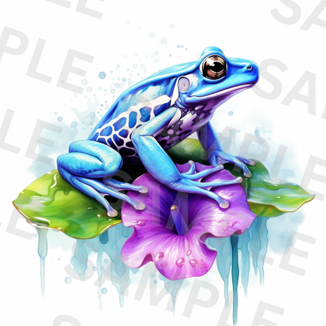 5 Colorful Frog Clipart, Toad Clipart, Printable Watercolor Clipart ...