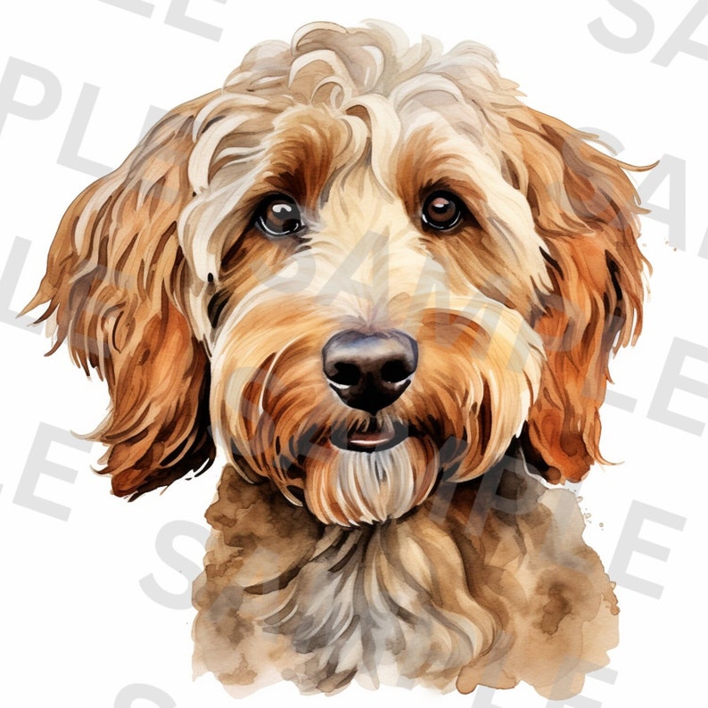 5 Goldendoodle Clipart, Groodle Printable Watercolor Dog Clipart, High ...