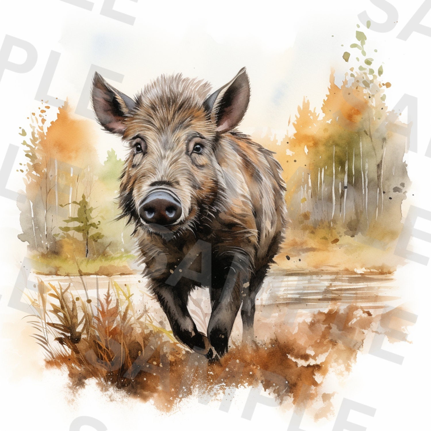 5 Wild Boar in Forest Clipart, Printable Watercolor Clipart, 5 High ...