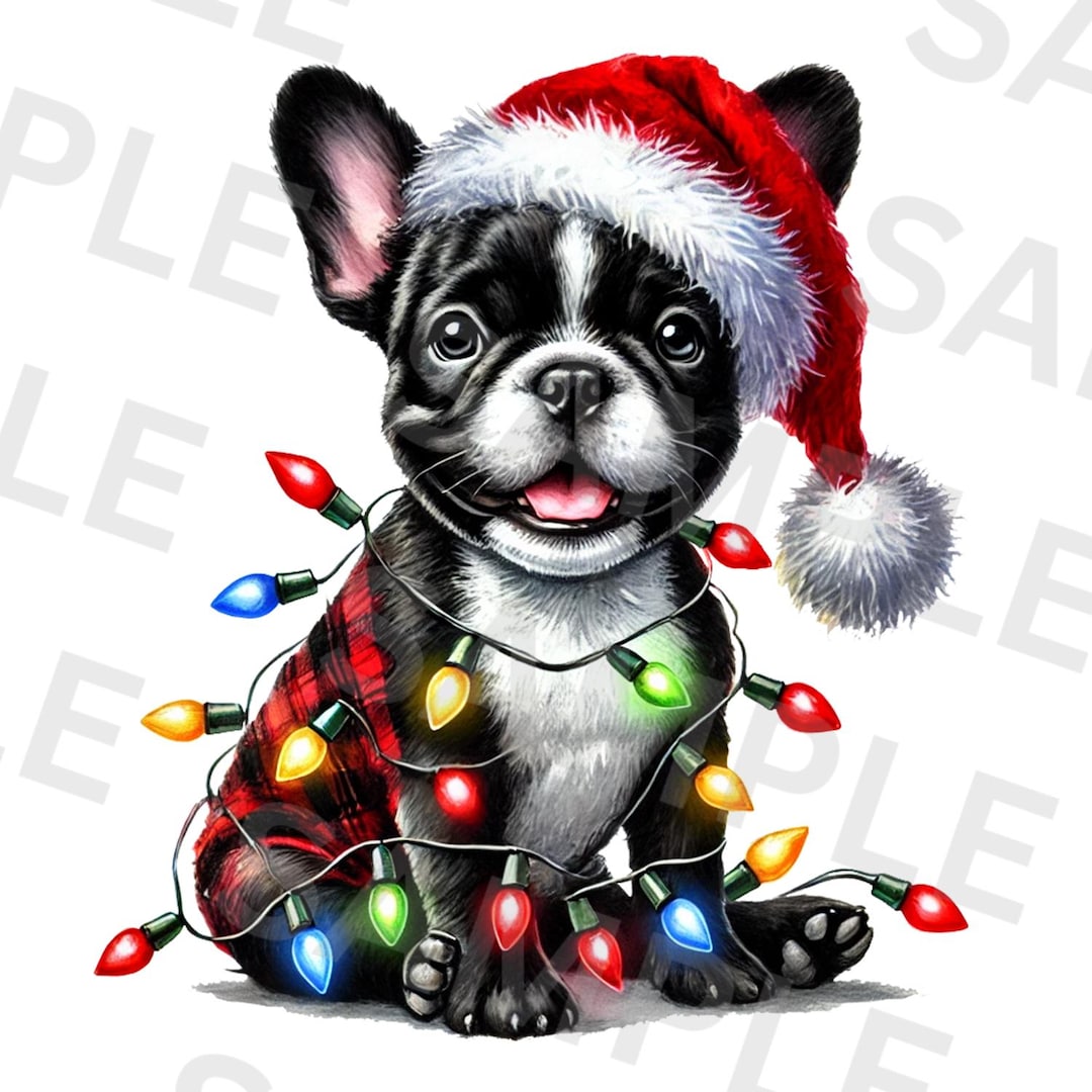 Christmas French Bulldog PNG, Sublimation Design, Frenchie Santa Hat ...