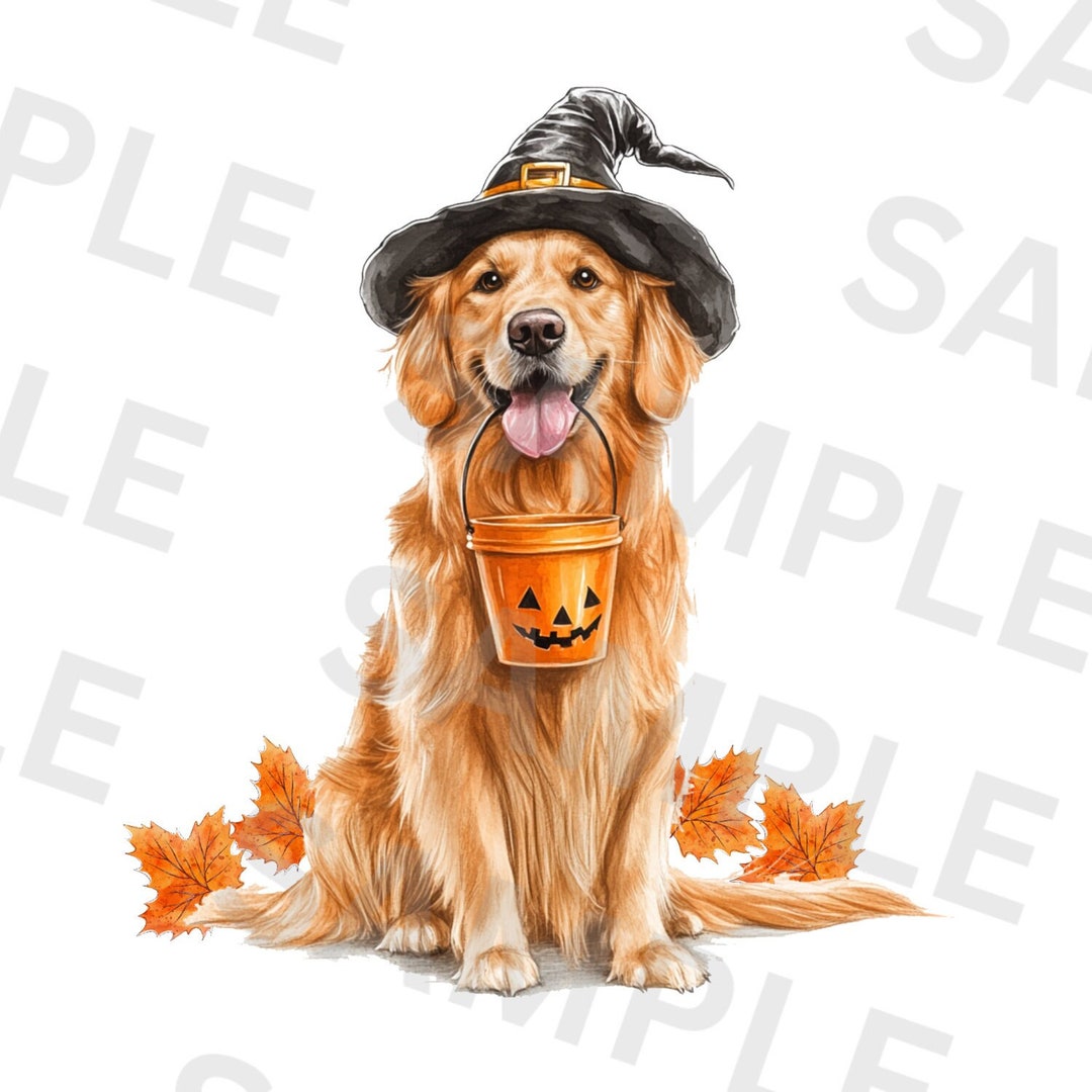 Golden Retriever Halloween PNG, Golden Retriever Clipart, Transparent ...