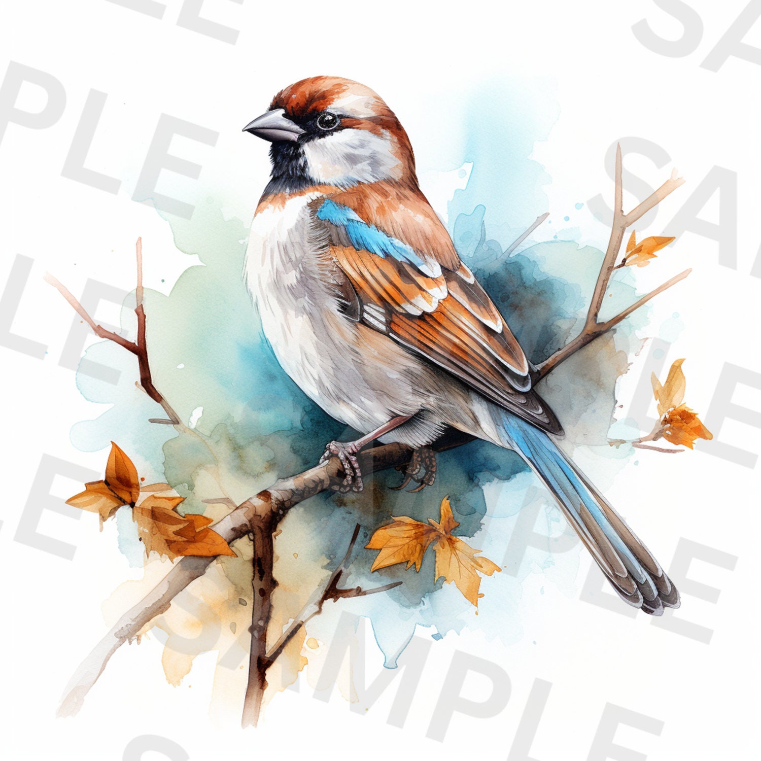 5 Sparrow Clipart, Sparrow Bird, Printable Watercolor Clipart, High ...