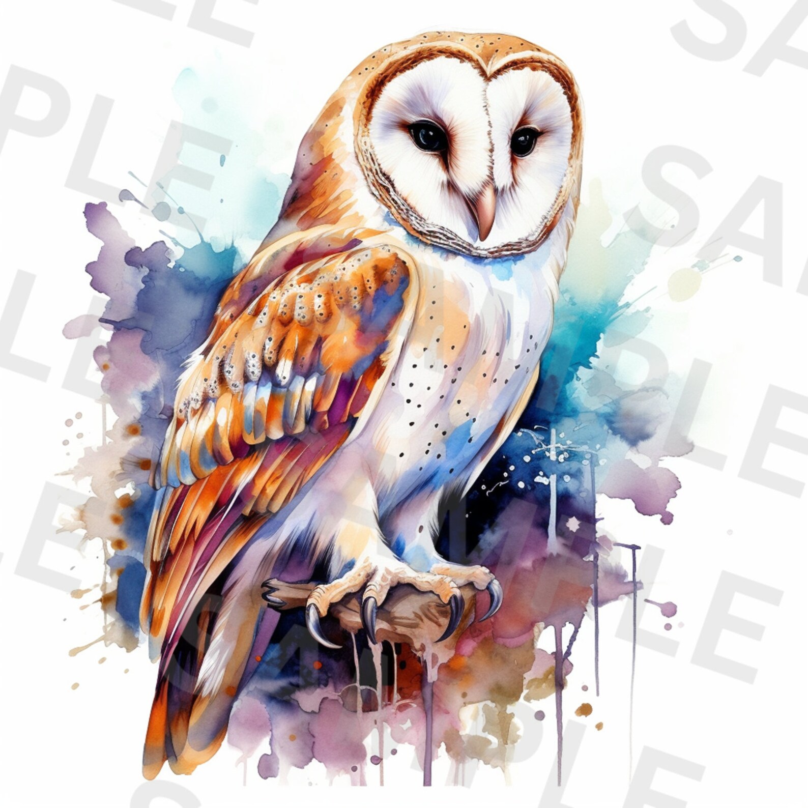 5 Barn Owl Clipart Snow Owl Clipart Cute Owl Digital - Etsy