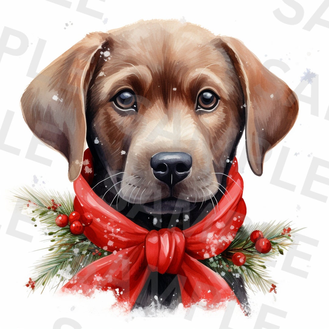 5 Christmas Labrador Clipart, Labrador Retriever Images, Printable ...