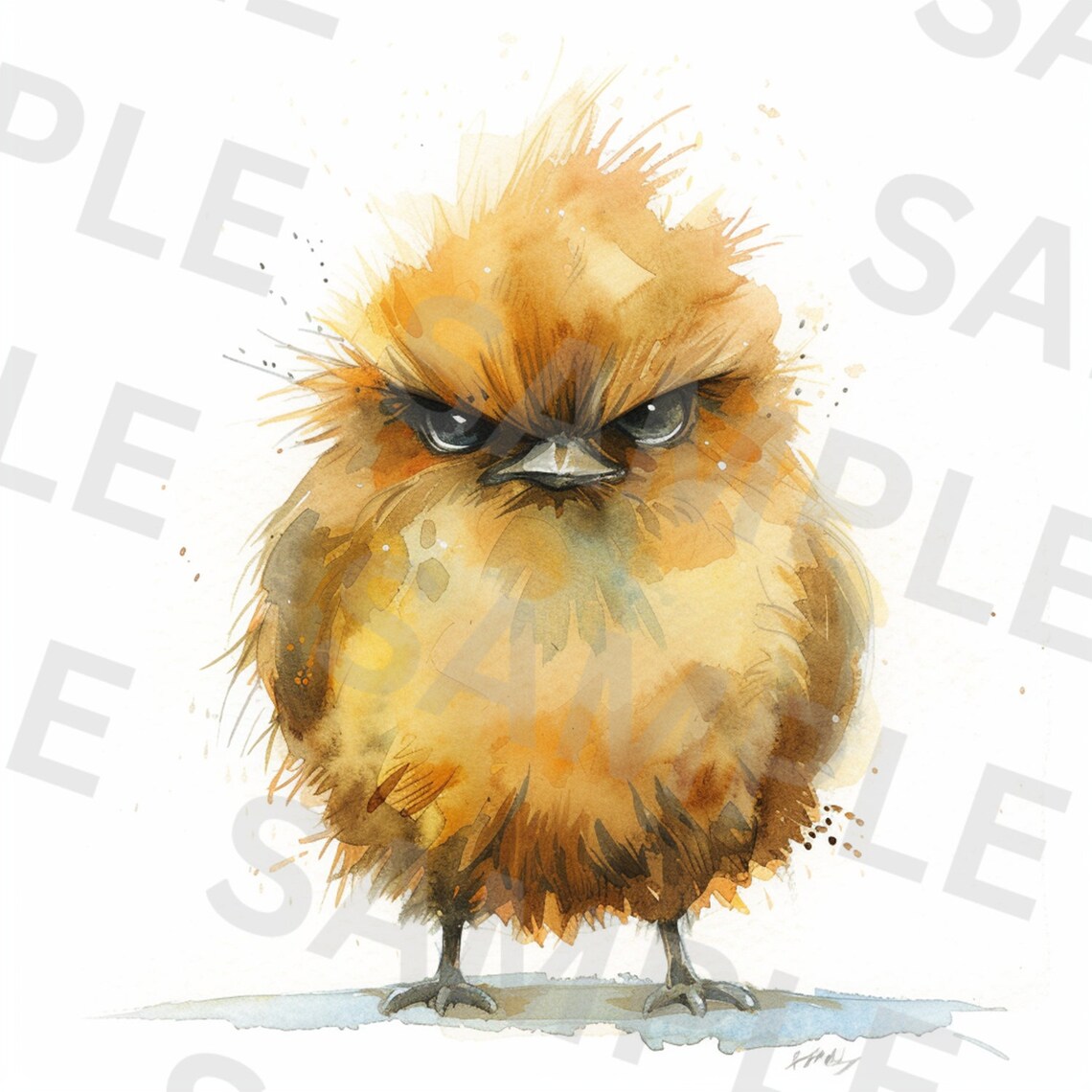5 Grumpy Birds Clipart, Cute Birds Digital Clipart, Printable ...