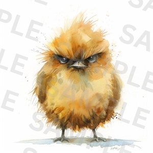 5 Grumpy Birds Clipart, Cute Birds Digital Clipart, Printable ...