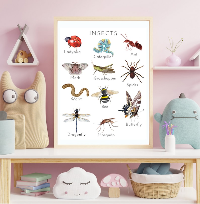 Insect Poster, Educational Poster, Montessori Poster, Homeschool ...