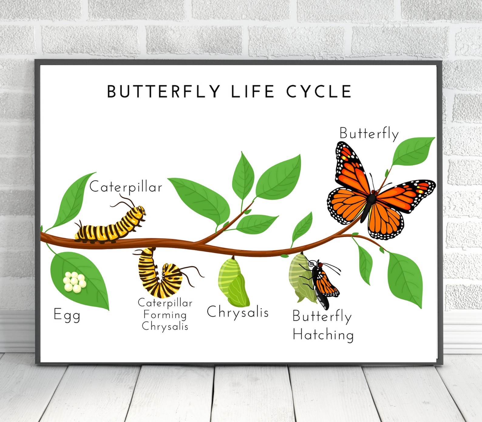Life Cycle of a Butterfly Poster, Butterfly Poster, Fill in the Blank ...