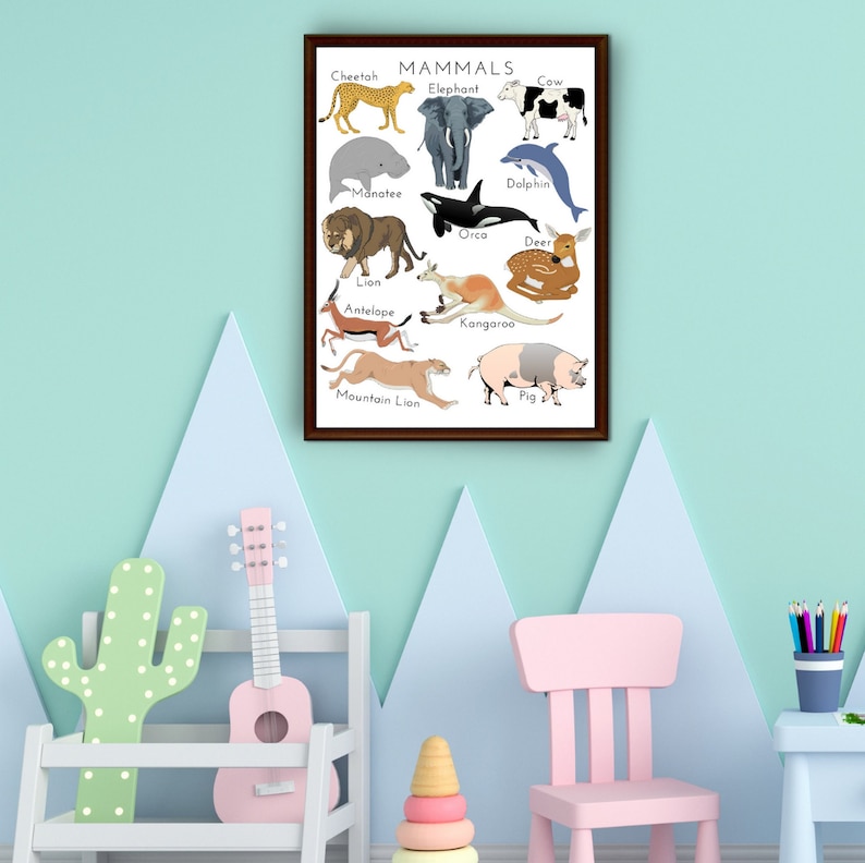 Mammal Poster, Educational Poster, Montessori Poster, Homeschool ...