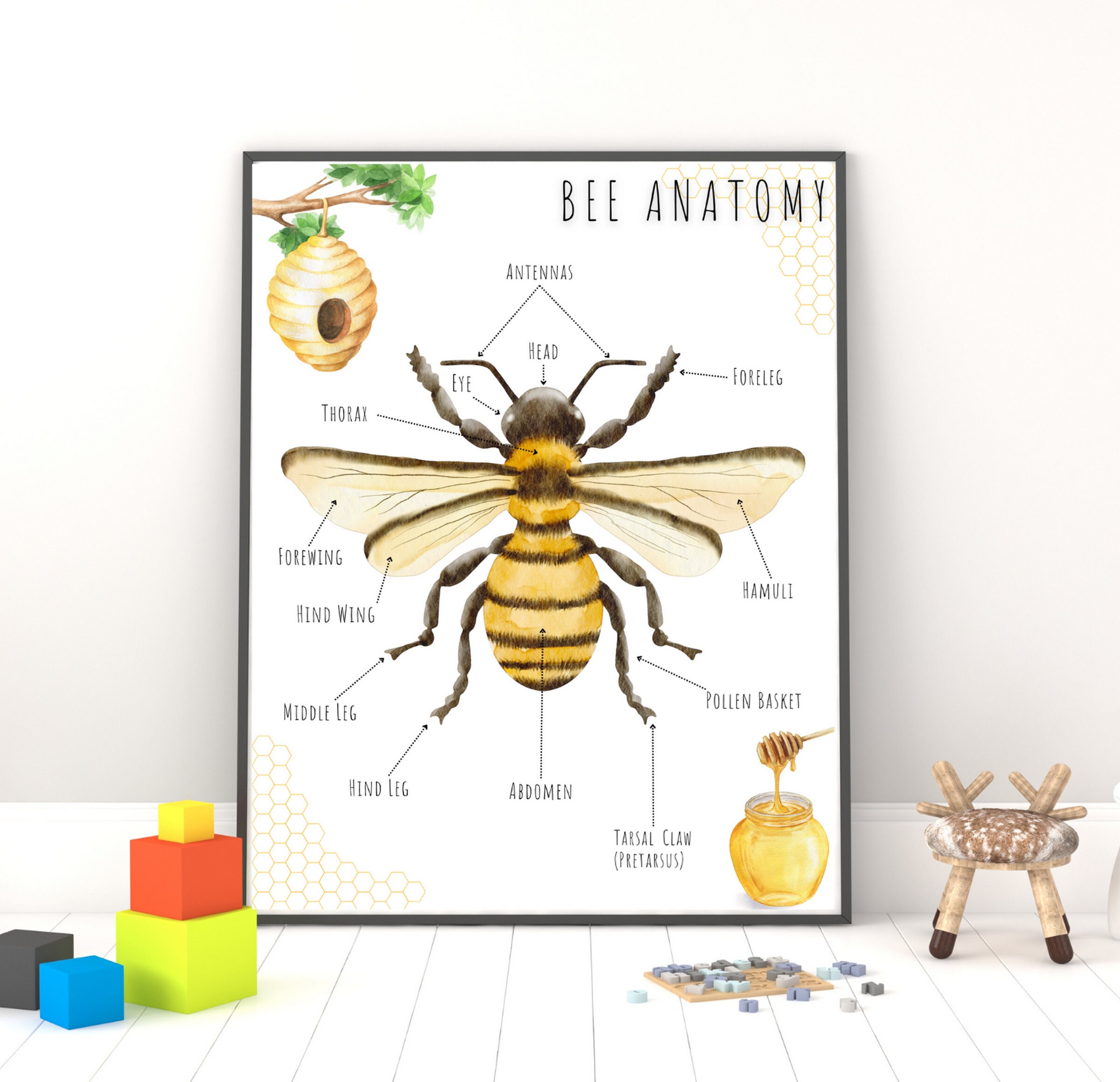 Bee Anatomy Poster, Educational Prints, Educational Poster, Classroom ...