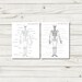 Human Skeleton Poster, Fill-in-the-blank, Educational Printables ...