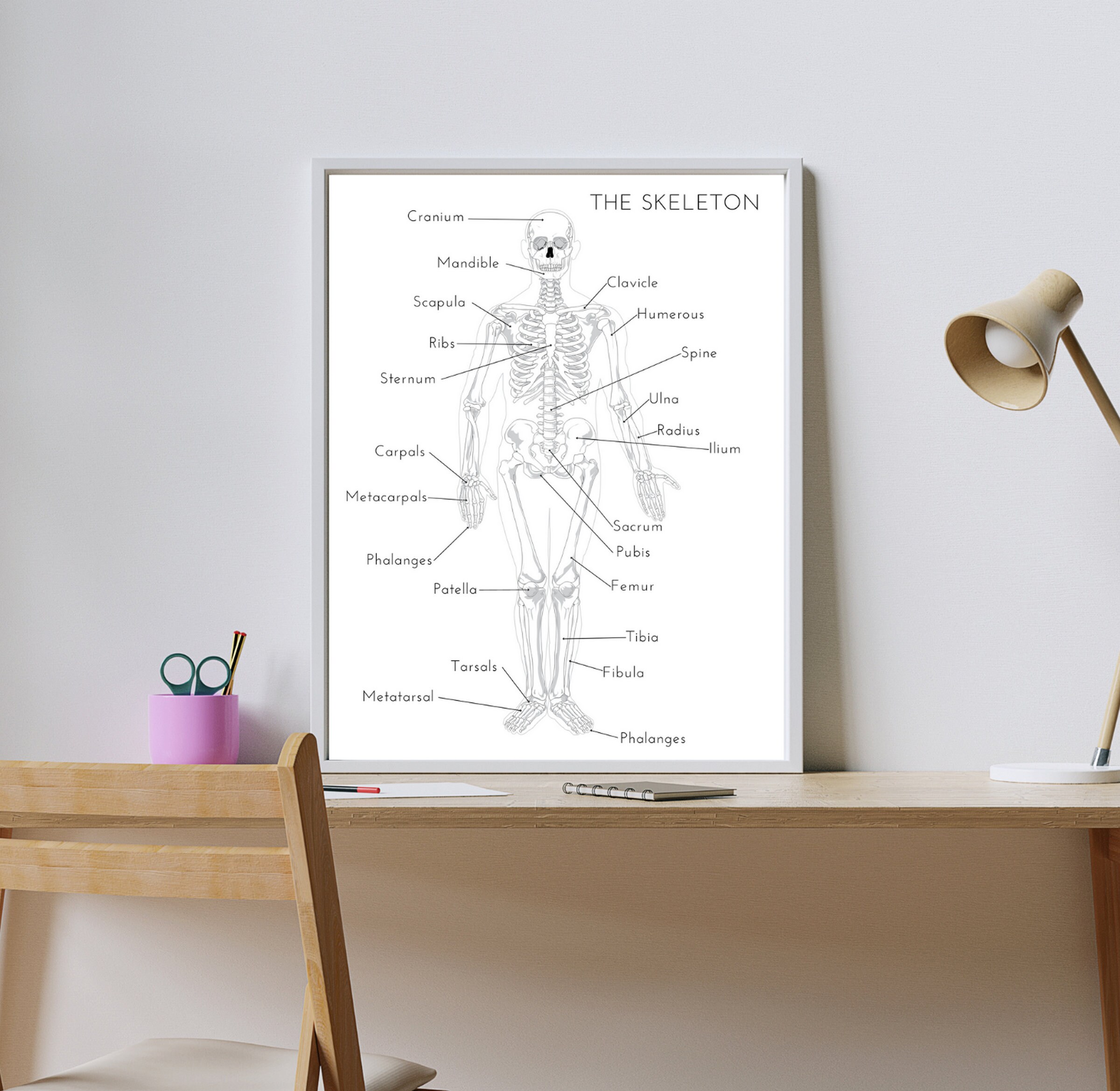 Human Skeleton Poster, Fill-in-the-blank, Educational Printables ...