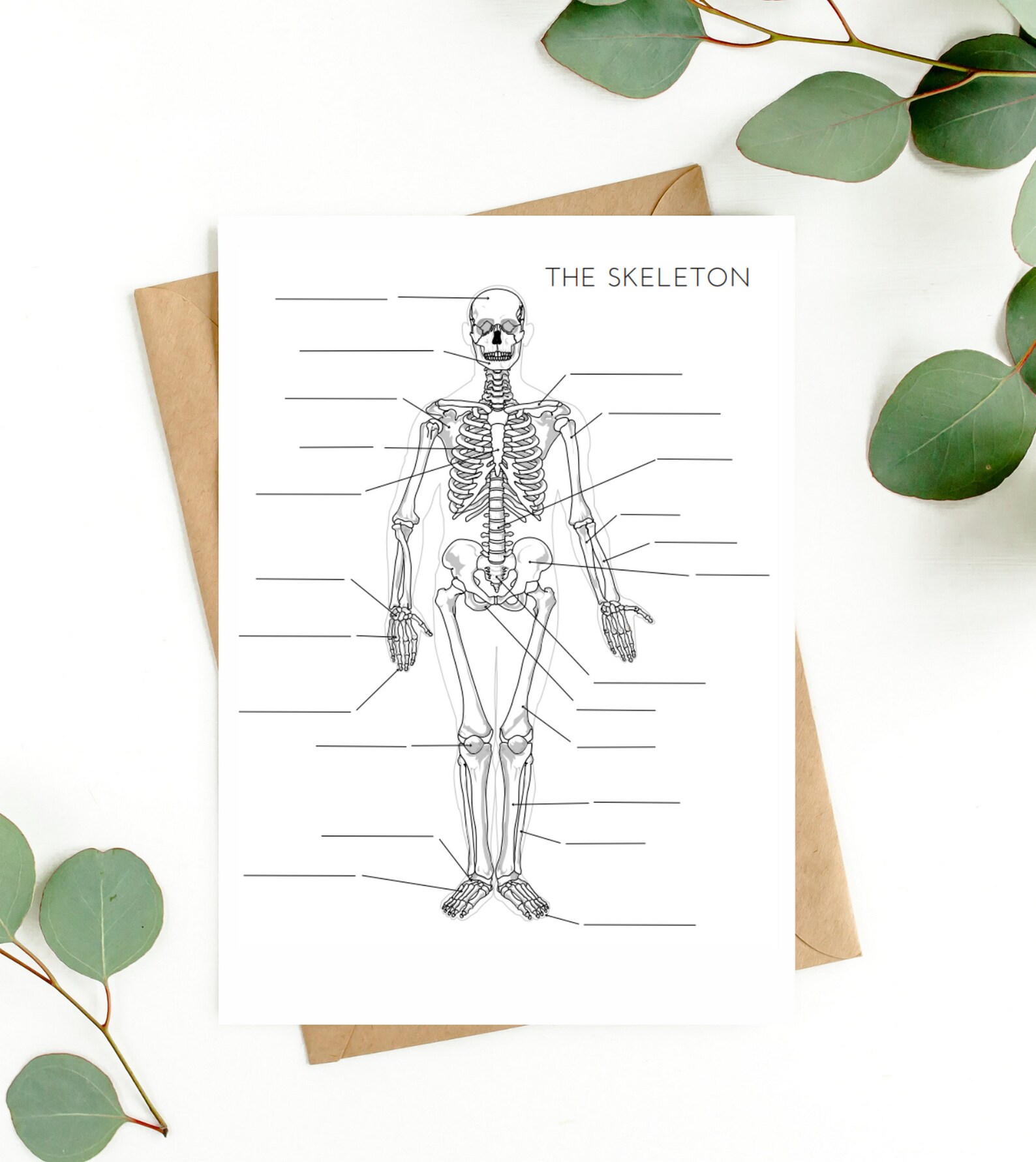 Human Skeleton Poster, Fill-in-the-blank, Educational Printables ...