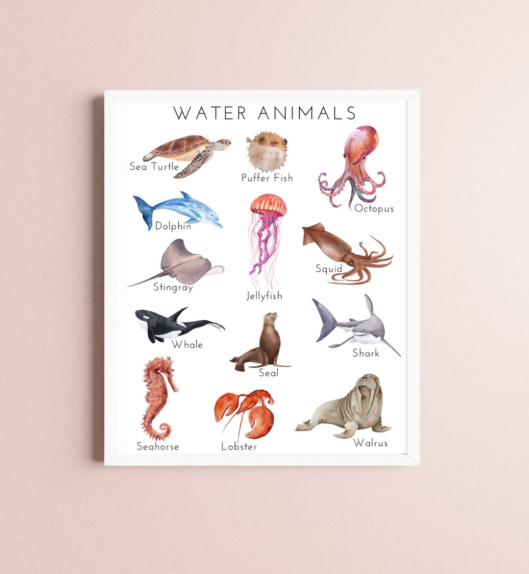 Water Animals Poster, Educational Wall Art, Montessori Wall Art ...