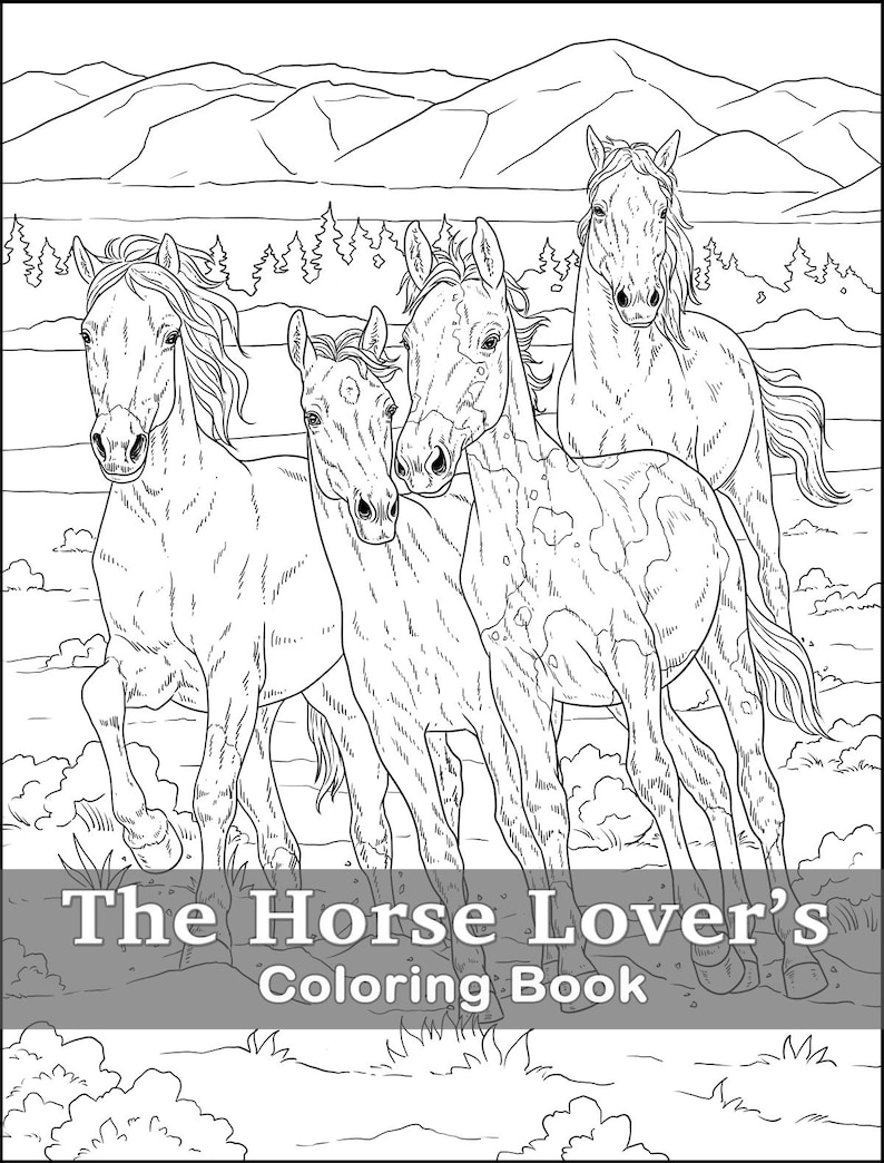 The Horse Lover's Coloring Book 30 Beautiful Equine Illustrations in ...