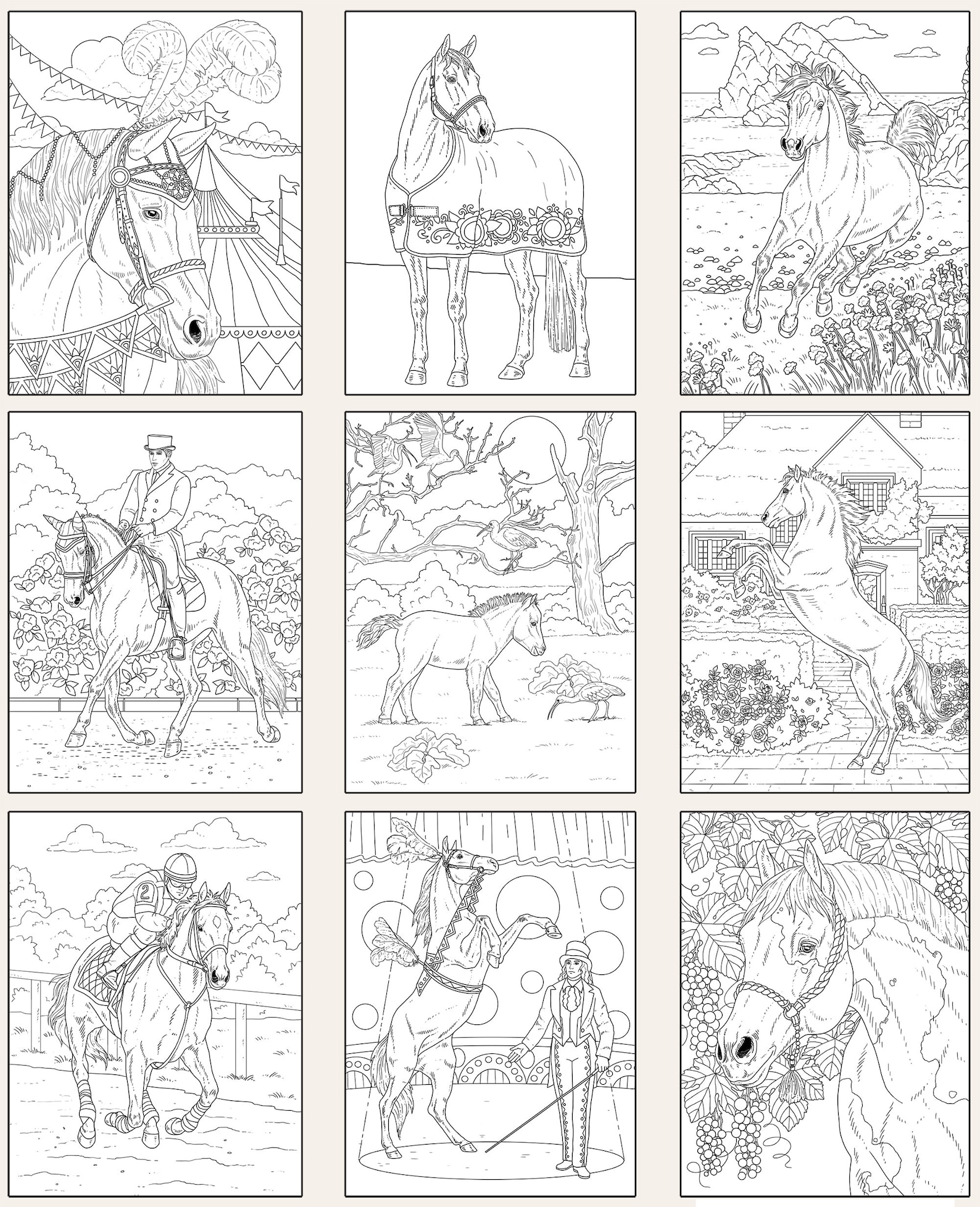 The World of Horses Coloring Book 30 Beautiful Equine - Etsy