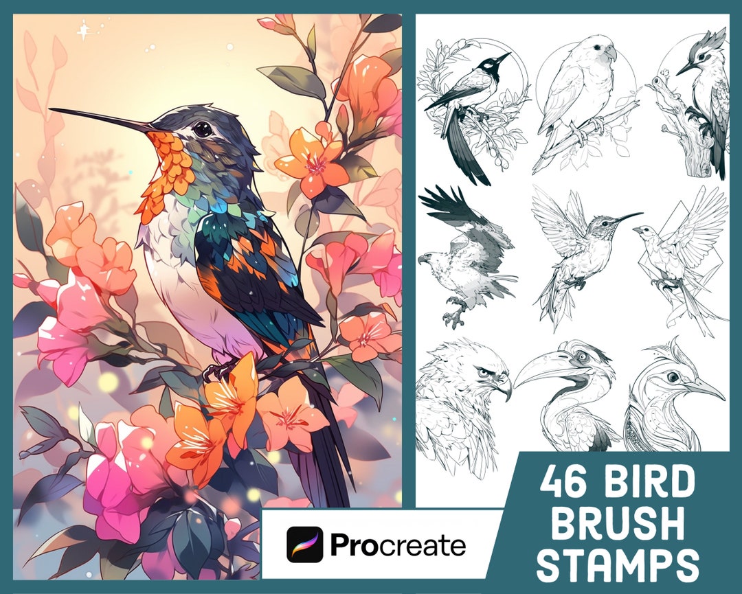 46 Bird Stamp Brushes for Procreate - Birds Stamp Set - Illustration ...