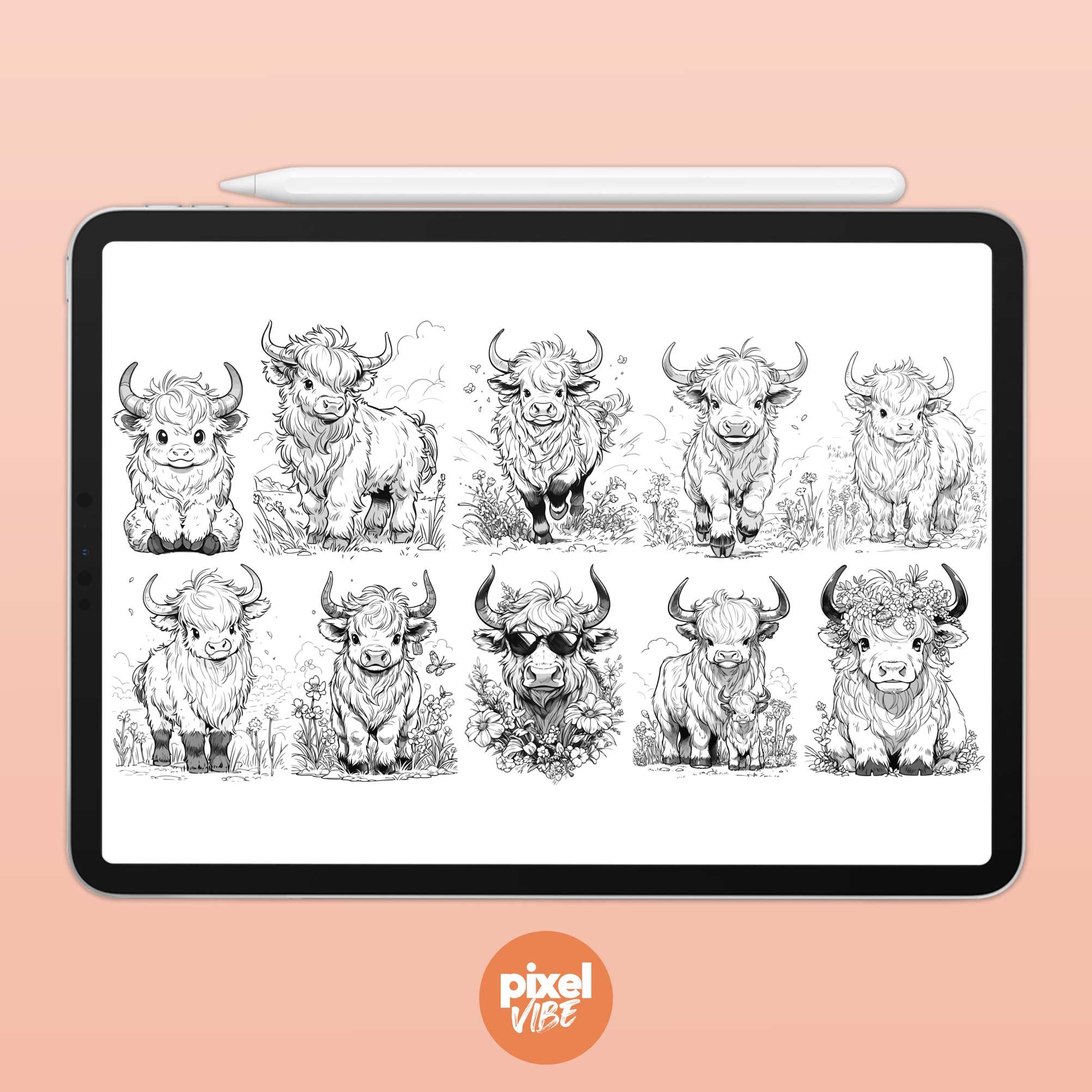 30 Highland Cow Stamp Brushes for Procreate - Cow Illustration Brush ...