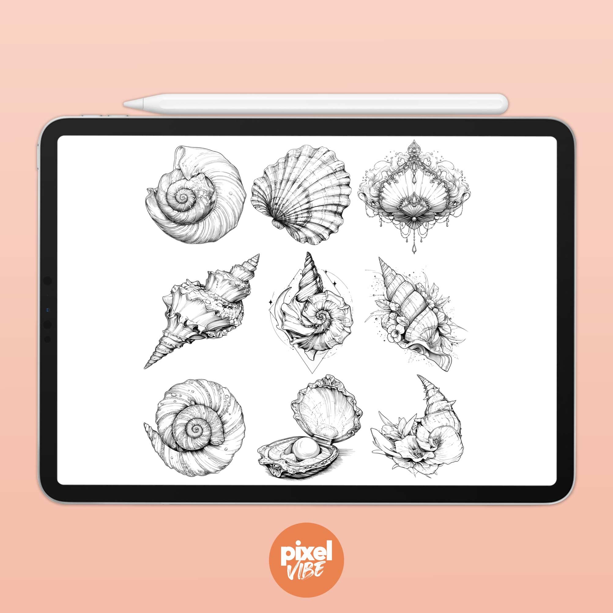 18 Seashell Stamp Brushes for Procreate - Ocean Illustration Brush Pack - Etsy