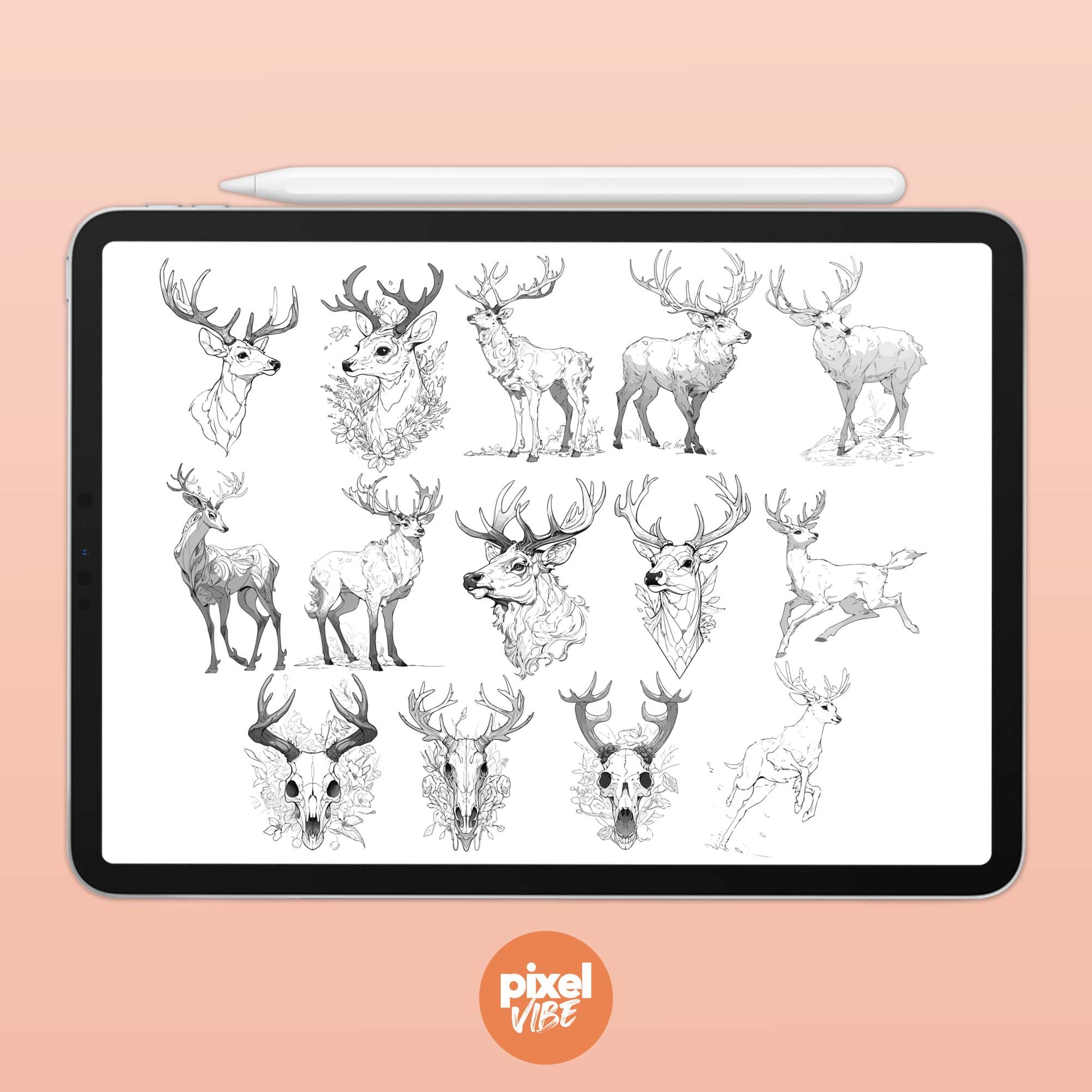 42 Deer Stamp Brushes for Procreate - Stag Stamp Set - Illustration ...