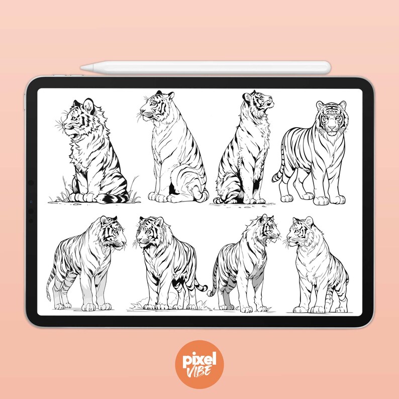 32 Tiger Stamp Brushes for Procreate - Illustration Art Set - Etsy