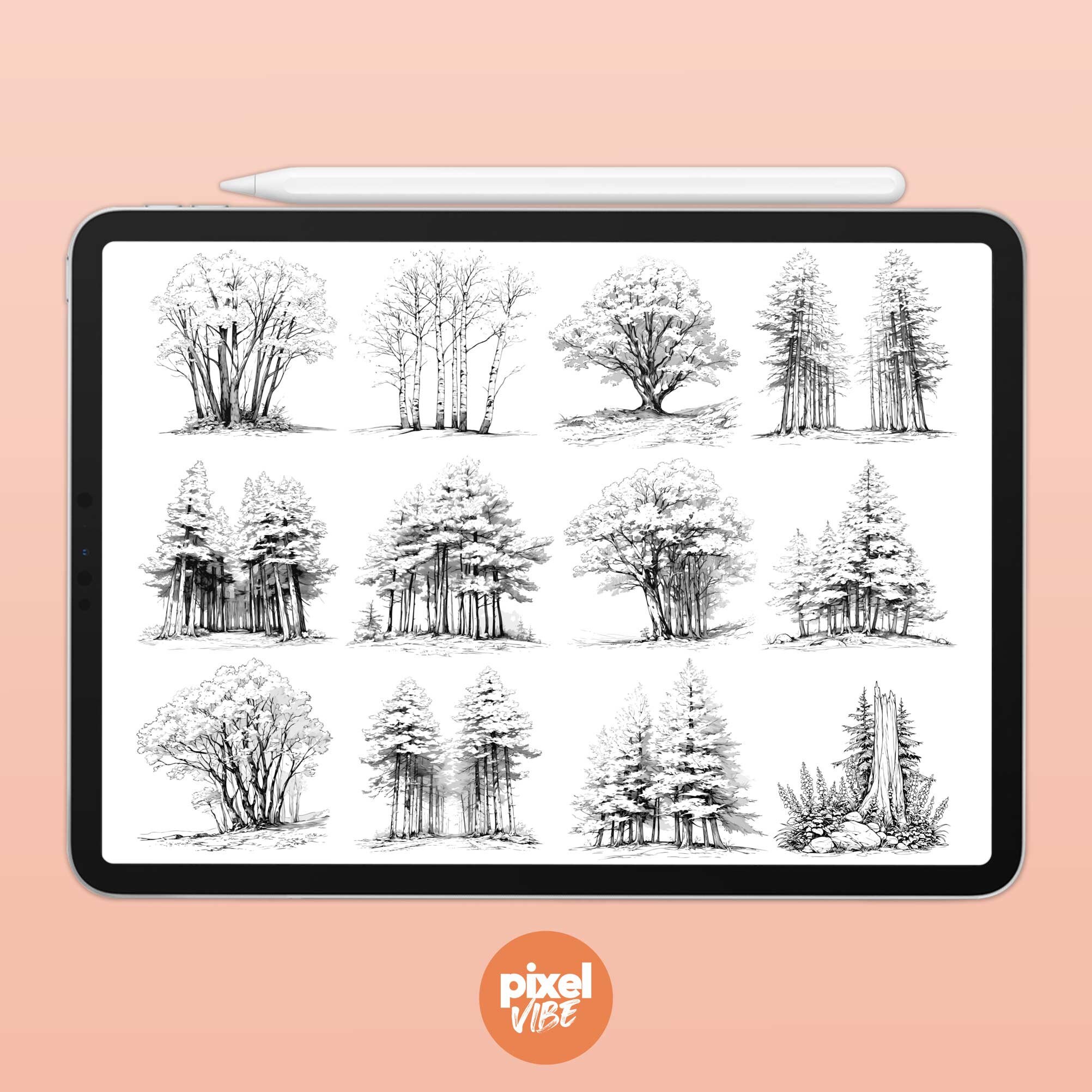 27 Tree Stamp Brushes for Procreate - Forest Illustration Brush Pack - Etsy