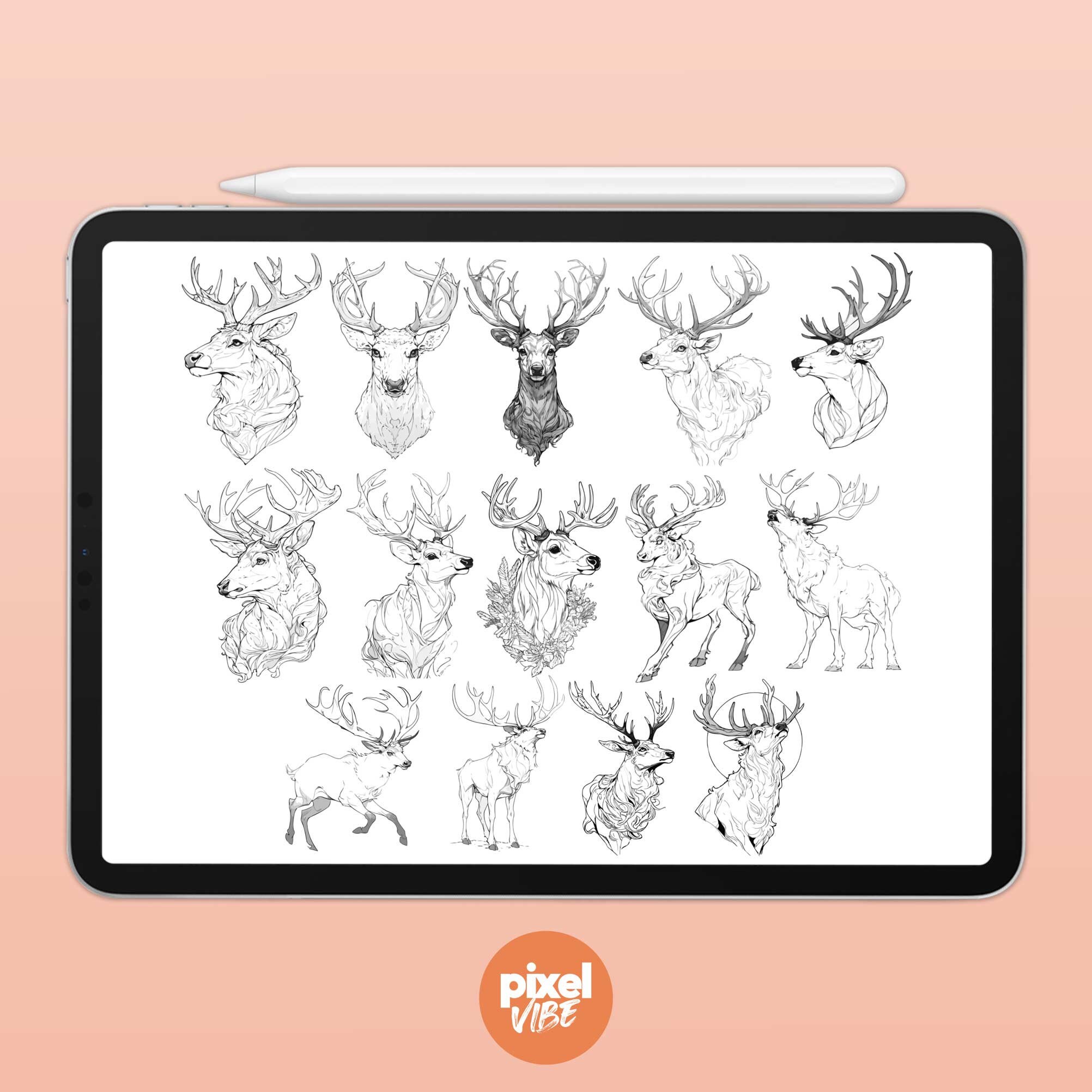 42 Deer Stamp Brushes for Procreate - Stag Stamp Set - Illustration ...