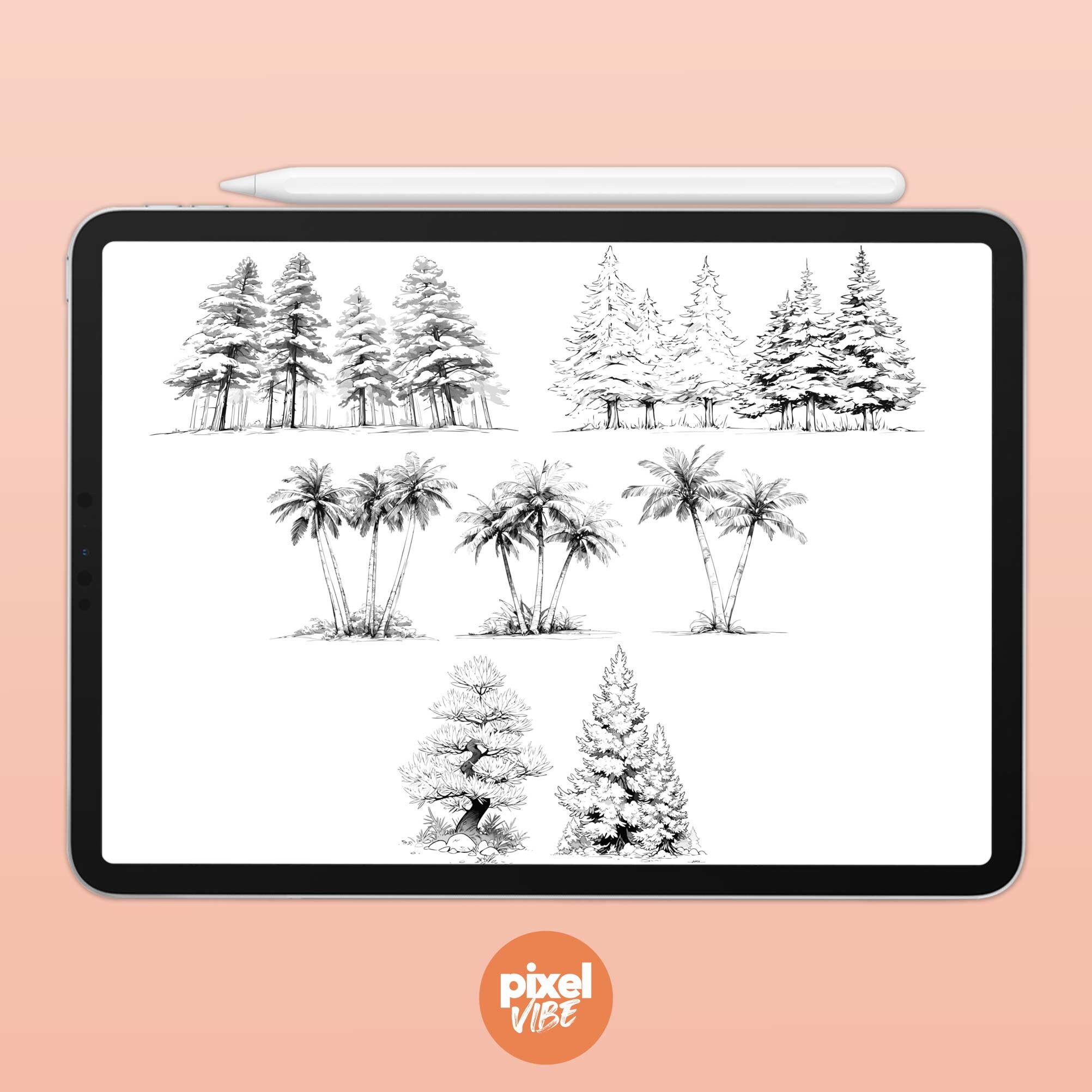 27 Tree Stamp Brushes for Procreate - Forest Illustration Brush Pack - Etsy