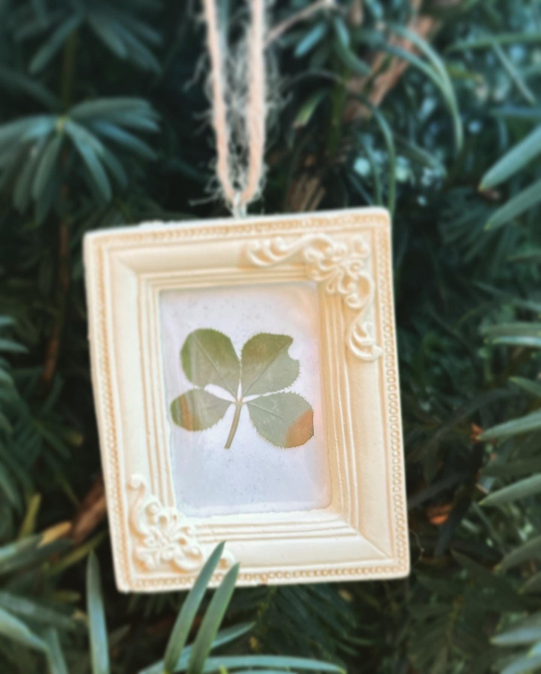 4 Leaf Clover Frame - Vintage Rectangle - Etsy