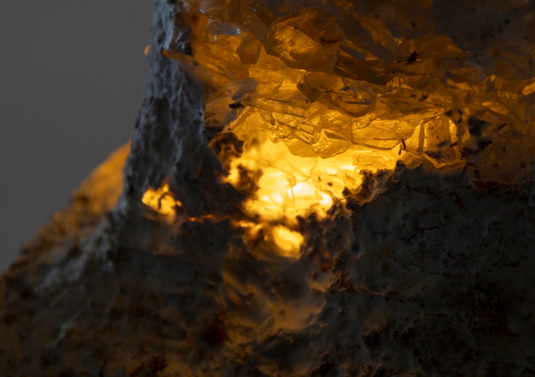 Mycelium Lamp by Eliumdesign Studio - Etsy